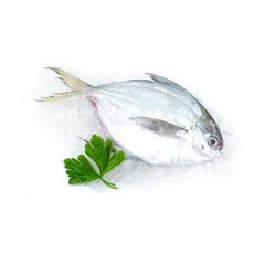 Pescados Frescos | Wong Perú